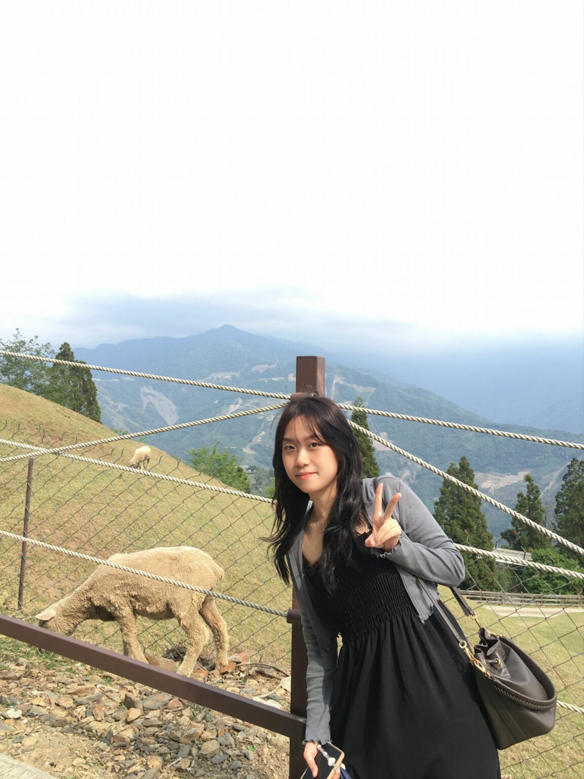 My Office & Team - PJ Lestari